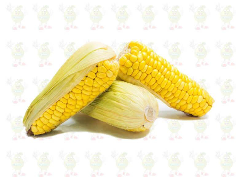Mazorca Bogotana X 500g | Solofruver Tu Mercado Online